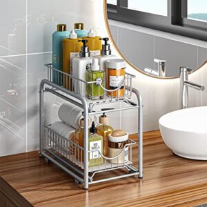 LEGUANG Under Sink Organizers and Storage, 2 Tier Sliding Basket Under Sink Cabinet Organizer, Kitchen Under Bathroom Storage Organizer, Silver