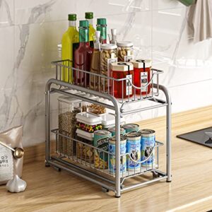 LEGUANG Under Sink Organizers and Storage, 2 Tier Sliding Basket Under Sink Cabinet Organizer, Kitchen Under Bathroom Storage Organizer, Silver