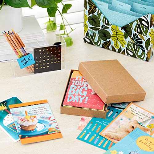 Hallmark Birthday Cards Assortment, 20 Cards with Envelopes (Refill Pack for Hallmark Card Organizer Box)