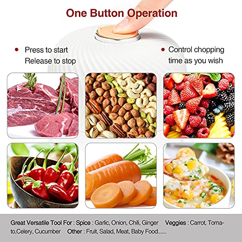 Electric Garlic Chopper, Mini Portable Veggie Chopper, 250ML Garlic Grinder Masher Onion Chopper, Blender to Vegetable, Wireless Food Processor for Ginger, Chili, Fruit, Meat, etc