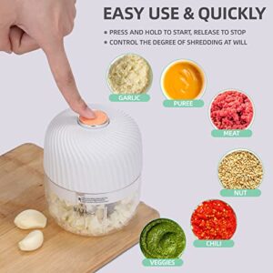 Electric Garlic Chopper, Mini Portable Veggie Chopper, 250ML Garlic Grinder Masher Onion Chopper, Blender to Vegetable, Wireless Food Processor for Ginger, Chili, Fruit, Meat, etc