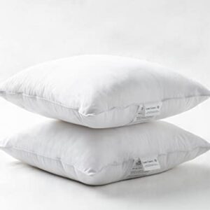 18x18 Pillow Inserts Pack of 4 - White Throw Pillows, Throw Pillow Inserts for Decorative Pillow Covers, Throw Pillows for Bed, Couch Pillows for Living Room, Throw Pillows for Couch, Fluffy Pillows