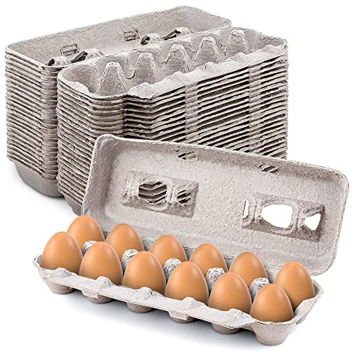 Blank Natural Pulp Egg Cartons Holds Up to Twelve Eggs - 1 Dozen - Strong Sturdy Egg Crate Carboard Material Perfect For Storing Extra Eggs (25 Pieces) by MT Products - Made in The USA