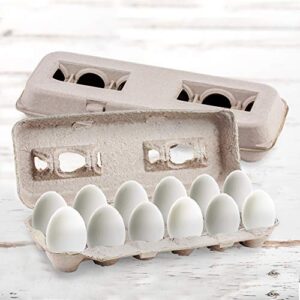 Blank Natural Pulp Egg Cartons Holds Up to Twelve Eggs - 1 Dozen - Strong Sturdy Egg Crate Carboard Material Perfect For Storing Extra Eggs (25 Pieces) by MT Products - Made in The USA