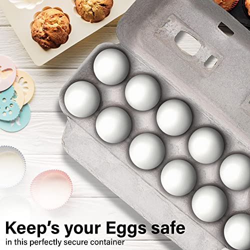 Blank Natural Pulp Egg Cartons Holds Up to Twelve Eggs - 1 Dozen - Strong Sturdy Egg Crate Carboard Material Perfect For Storing Extra Eggs (25 Pieces) by MT Products - Made in The USA