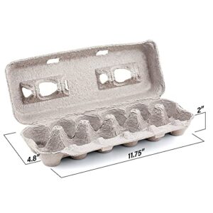 Blank Natural Pulp Egg Cartons Holds Up to Twelve Eggs - 1 Dozen - Strong Sturdy Egg Crate Carboard Material Perfect For Storing Extra Eggs (25 Pieces) by MT Products - Made in The USA