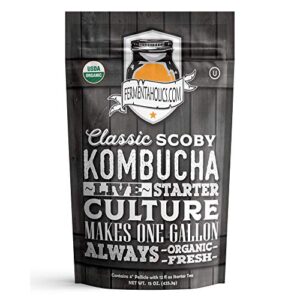 fermentaholics organic kombucha scoby with twelve ounces of starter tea – live starter culture – makes a one gallon batch – 1.5 cups of strong mature starter tea – brew your own kombucha