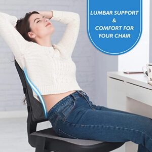 LumbarPal Lumbar Support Pillow for Office Chair Back Support Lumbar Pillow for Car, Gaming, Office Chair - Improve Sitting Posture & Back Pain Relief, Memory Foam, Adjustable Straps, Grey