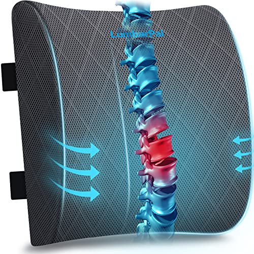 LumbarPal Lumbar Support Pillow for Office Chair Back Support Lumbar Pillow for Car, Gaming, Office Chair - Improve Sitting Posture & Back Pain Relief, Memory Foam, Adjustable Straps, Grey