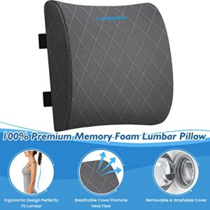 LumbarPal Lumbar Support Pillow for Office Chair Back Support Lumbar Pillow for Car, Gaming, Office Chair - Improve Sitting Posture & Back Pain Relief, Memory Foam, Adjustable Straps, Grey