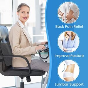 LumbarPal Lumbar Support Pillow for Office Chair Back Support Lumbar Pillow for Car, Gaming, Office Chair - Improve Sitting Posture & Back Pain Relief, Memory Foam, Adjustable Straps, Grey