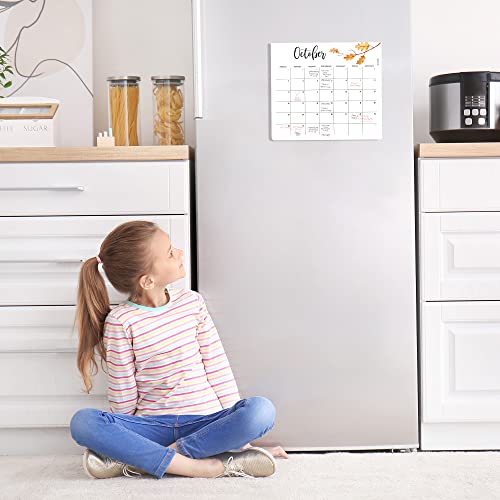 Beautiful Magnetic Fridge Calendar - Runs Until December 2023 - The Perfect Monthly Calendar With Seasonal Designs for Easy Planning