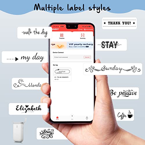 D11 Small Label Maker Handheld Mini Label Printer with 2 Tape and 1 Storage Box Multiple Templates Portable Label Printer Label Maker Machine with Tape USB Rechargeable for Phone Pad Office Home