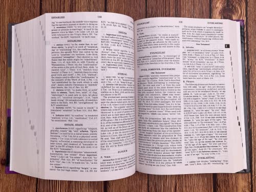 Strong's Concise Concordance And Vine's Concise Dictionary Of The Bible Two Bible Reference Classics In One Handy Volume