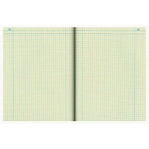 National Brand Computation Notebook, 4 X 4 Quad, Brown, Green Paper, 11.75 x 9.25 Inches, 75 Sheets (43648)