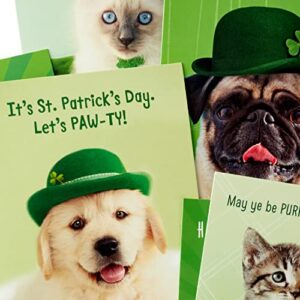 Hallmark St. Patricks Day Cards Assortment, 36 Cards with Envelopes (Cats and Dogs)