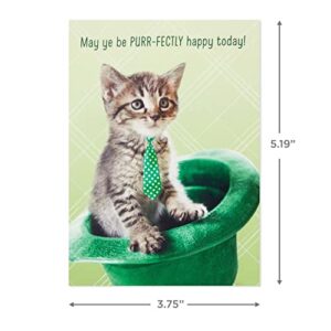 Hallmark St. Patricks Day Cards Assortment, 36 Cards with Envelopes (Cats and Dogs)