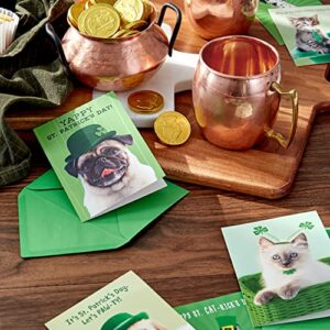 Hallmark St. Patricks Day Cards Assortment, 36 Cards with Envelopes (Cats and Dogs)