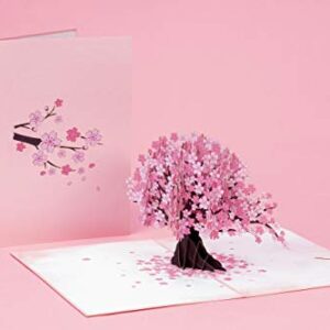 Paper Love 3D Cherry Blossom Pop Up Card, For Valentines, Spring, Mothers Day, All Occasions - 5" x 7" Cover - Includes Envelope and Note Tag