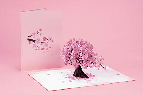 Paper Love 3D Cherry Blossom Pop Up Card, For Valentines, Spring, Mothers Day, All Occasions - 5" x 7" Cover - Includes Envelope and Note Tag