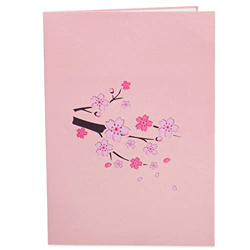 Paper Love 3D Cherry Blossom Pop Up Card, For Valentines, Spring, Mothers Day, All Occasions - 5" x 7" Cover - Includes Envelope and Note Tag