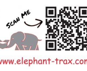 Elephant Trax Smart Storage QR Labels for Organizing, Moving, Storage, and Inventory Tracking (40 Ultra Durable Unique Labels, 3x2)