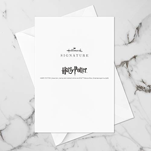 Hallmark Signature Paper Wonder Pop Up Birthday Card (Harry Potter)