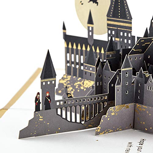 Hallmark Signature Paper Wonder Pop Up Birthday Card (Harry Potter)