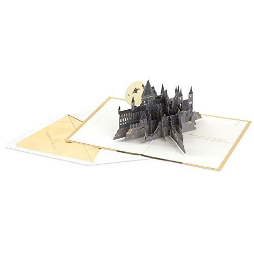 Hallmark Signature Paper Wonder Pop Up Birthday Card (Harry Potter)