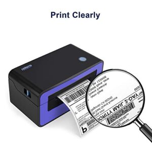 POLONO Label Printer, PL420 4x6 Thermal Printer, High-Speed Shipping Label Printer, Commercial Direct Thermal Printer, 4" x 6" Direct Thermal Shipping Label (Pack of 1000)