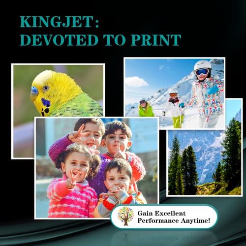 Kingjet Compatible 564 Ink Cartridge Replacement for HP 564 564 XL, (12 Combo Pack with Photo Black) for Photosmart 5520 6510 6520 7520 7525 Premium C309A C410A DeskJet 3520 3522