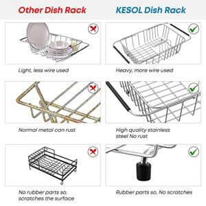 KESOL Expandable Over The Sink Dish Drying Rack / Dish Rack in Sink with Utensil Holder | 304 Stainless Steel Dish Racks for Kitchen Counter | Rustproof Dish Drainer / Sink Drying Rack - Small