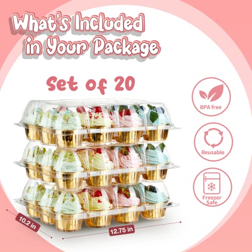 (12 Pack x 20 Sets) Gencywe Stackable Cupcake Carrier with 240 Pack Cupcake Liners, Plastic Cupcake Boxes Holders for 12 Cupcakes, High Tall Dome Lid Cupcake Containers, Clear Disposable Cupcake Trays