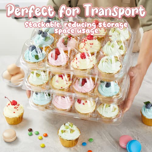 (12 Pack x 20 Sets) Gencywe Stackable Cupcake Carrier with 240 Pack Cupcake Liners, Plastic Cupcake Boxes Holders for 12 Cupcakes, High Tall Dome Lid Cupcake Containers, Clear Disposable Cupcake Trays