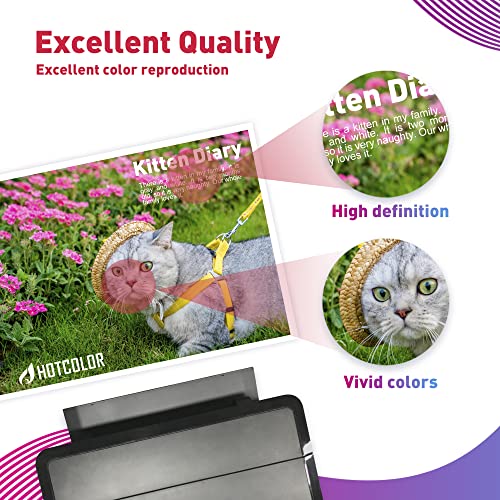 HOTCOLOR 67XL HP Printer Ink Replacement for HP 67 Ink Cartridges Black/Color Combo Pack XL for HP Envy 6055e 6000 Deskjet 2755e 4155e deskjet Plus 4155 4158 4152 Envy Pro 6455 6452 6400 (1+1, 2PK)