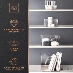 BINO | Plastic Storage Bins, Medium - 2 Pack | THE LUCID COLLECTION | Multi-Use Organizer Bins | Built-In Handles | BPA-Free | Clear Storage Containers | Fridge Organizer | Pantry & Home Organization