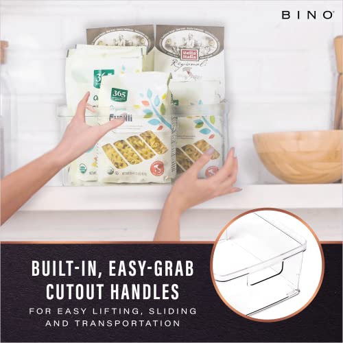 BINO | Plastic Storage Bins, Medium - 2 Pack | THE LUCID COLLECTION | Multi-Use Organizer Bins | Built-In Handles | BPA-Free | Clear Storage Containers | Fridge Organizer | Pantry & Home Organization