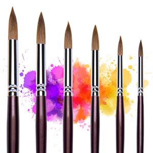 Artist Paint Brushes-Superior Sable Watercolour Brushes Round Point Tip Paint Brush Set for Watercolor Acrylic Painting Supplies