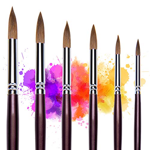 Artist Paint Brushes-Superior Sable Watercolour Brushes Round Point Tip Paint Brush Set for Watercolor Acrylic Painting Supplies