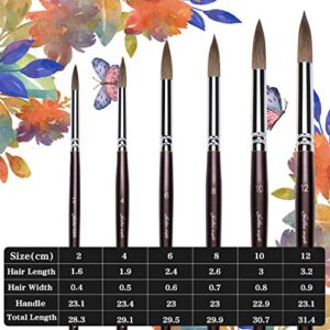 Artist Paint Brushes-Superior Sable Watercolour Brushes Round Point Tip Paint Brush Set for Watercolor Acrylic Painting Supplies