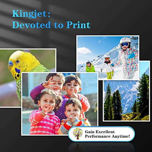 Kingjet Compatible 972X Ink Cartridge Replacement for HP 972X 972 Ink for PageWide Pro 477dw 577dw 577z 552dw 452dn 452dw 477dn P55250dw P57750dw Printer (Black Cyan Maganta Yellow)