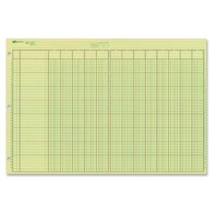 national analysis pad, 13 columns, green paper, 11 x 16.375″, 50 sheets (45613)