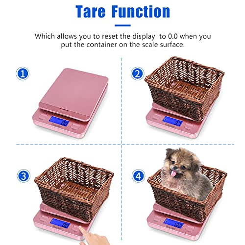 Fuzion Shipping Scale, Digital Postage Scale for Packages 86 lb/0.1oz with Hold and Tare, Postal Scale with Flip Holder, Package Scale for Small Business, Battery & AC Adapter