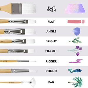 CONDA Paint Brushes Set of 24 Different Shapes Professional Painting Brushes (White)