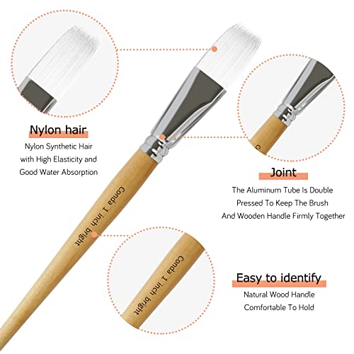 CONDA Paint Brushes Set of 24 Different Shapes Professional Painting Brushes (White)