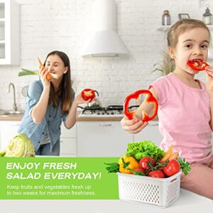 TBMax Fruit Vegetable Storage Containers for Fridge - 4 Pack Large Produce Saver Containers Refrigerator Organizer Bins, Plastic Produce Keepers with Lid & Colander for Salad Berry Lettuce Storage