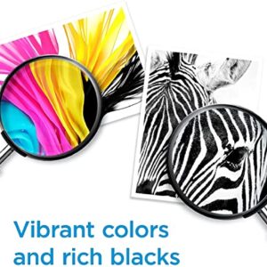 Original HP 564 Black, Cyan, Magenta, Yellow Ink (4-pack) | Works with DeskJet 3500; OfficeJet 4620; PhotoSmart B8550, C6300, D5400, D7560, 5500, 6510, 6520, 7500, Plus, Premium, eStation | 3YQ22AN