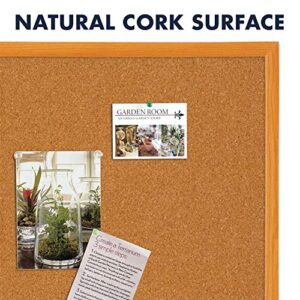 Quartet Corkboard, Framed Bulletin Board, 2' x 3' Cork Board, Oak Wood Finish Frame (MWDB2436-ECR), Oak Frame