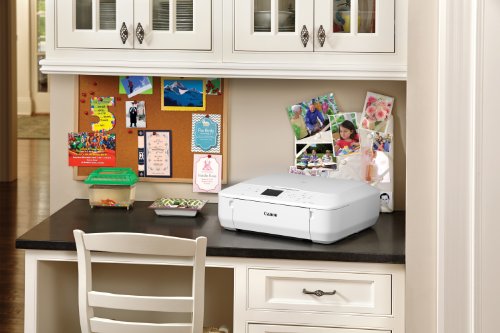 Canon PIXMA MG5520 Wireless All-In-One Color Photo Printer with Scanner, Copier and Auto Duplex Printing, White (Tablet Ready)