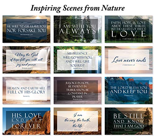 JBH Creations Share a Verse Bible Cards with Full Scripture - Pack of 48